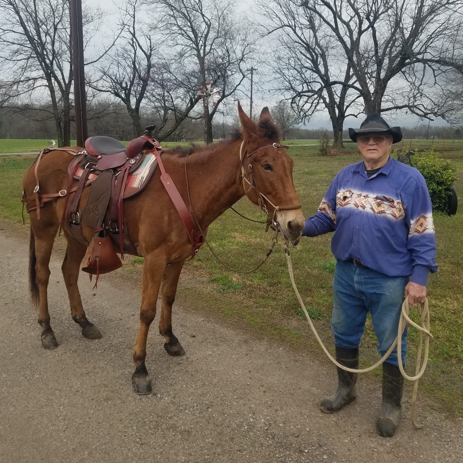 Triple Thick, Triple Duty Saddle Pads for Mules and Donkeys