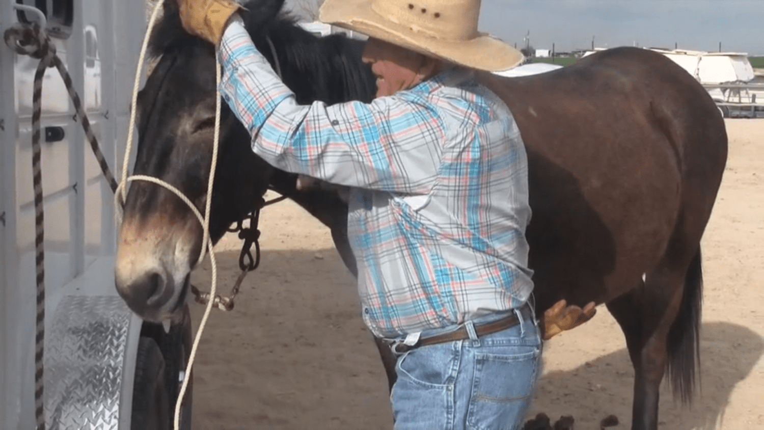 Mule Ground Foundation Starting Kit with Instructional Video