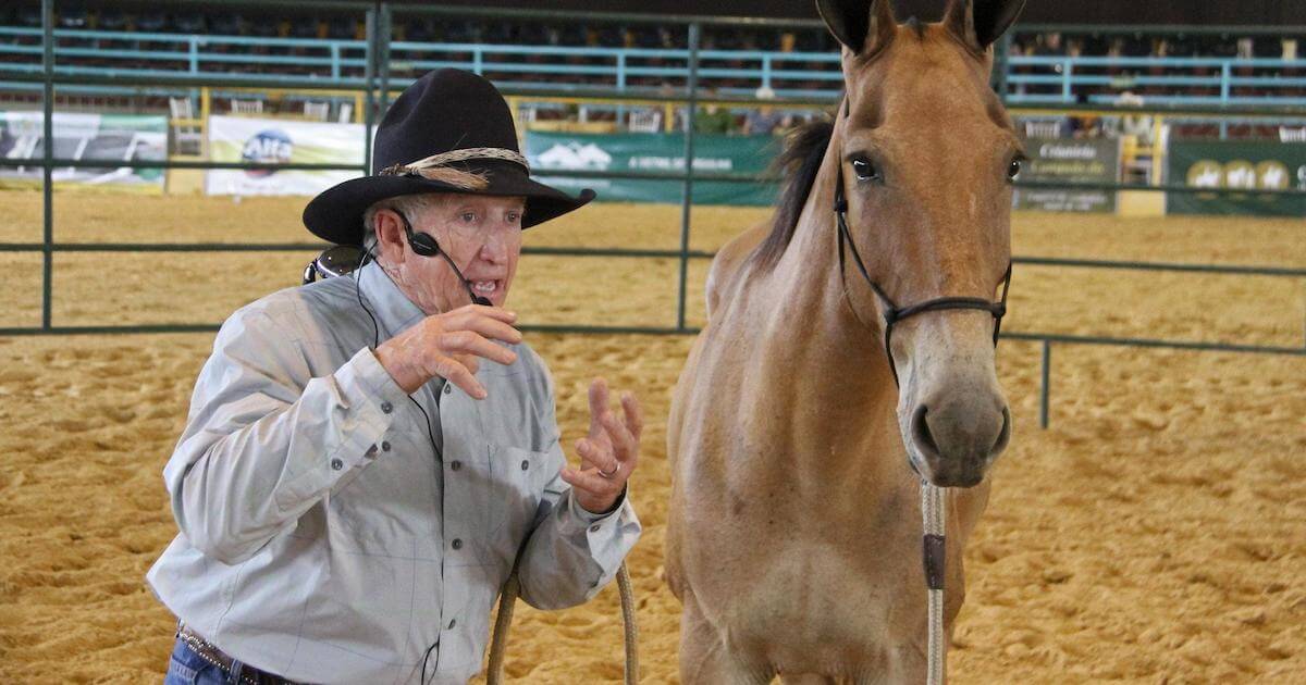 Main — About - Queen Valley Mule Ranch