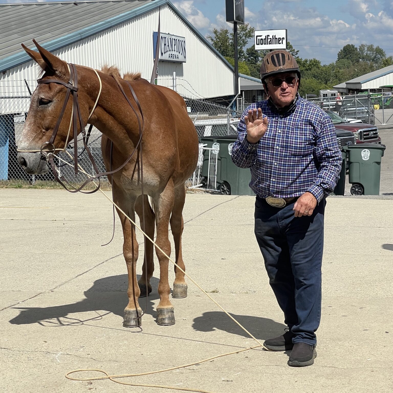 The Mule Rider's Martingale for Balancing Mules & Introducing Bits