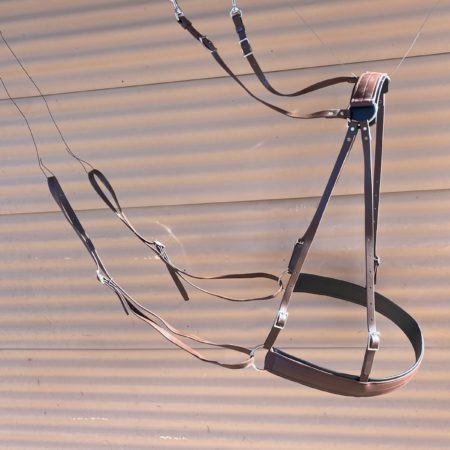 Beta Britchen for Training Mules to Ride | Steve Edwards Mule Training