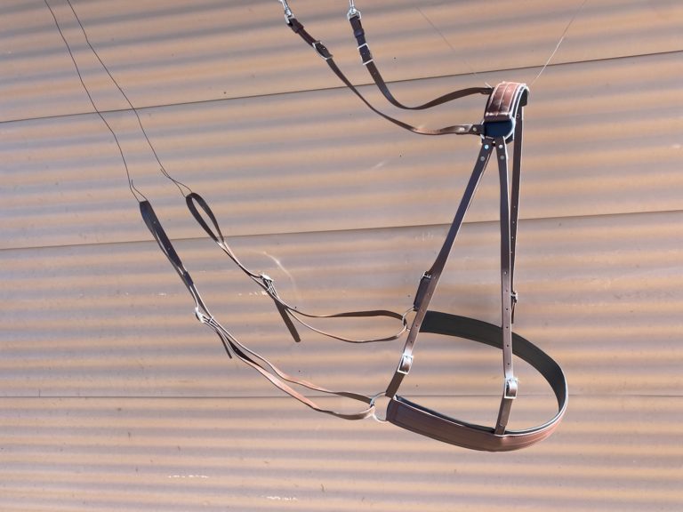 Beta Britchen for Training Mules to Ride | Steve Edwards Mule Training