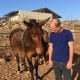 Expert Mule and Donkey Training with Steve Edwards