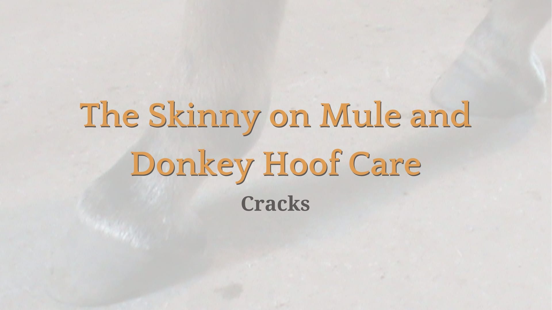 The Skinny on Mule and Donkey Hoof Care - Cracks | Queen Valley Mule Ranch