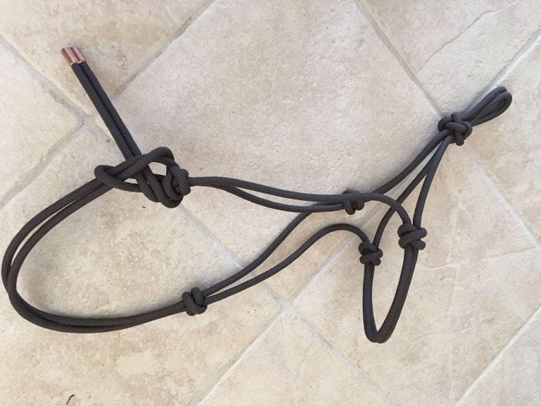 Mule and Donkey Rope Halter for Maximum Communication | Mule Ranch