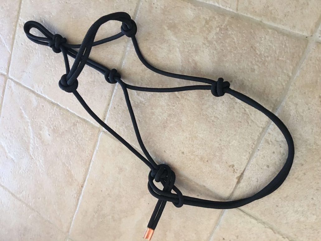 Mule and Donkey Rope Halter for Maximum Communication | Mule Ranch