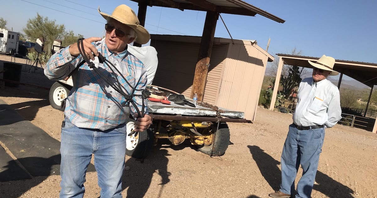 Mule and Donkey Rope Halter for Maximum Communication - Black Color