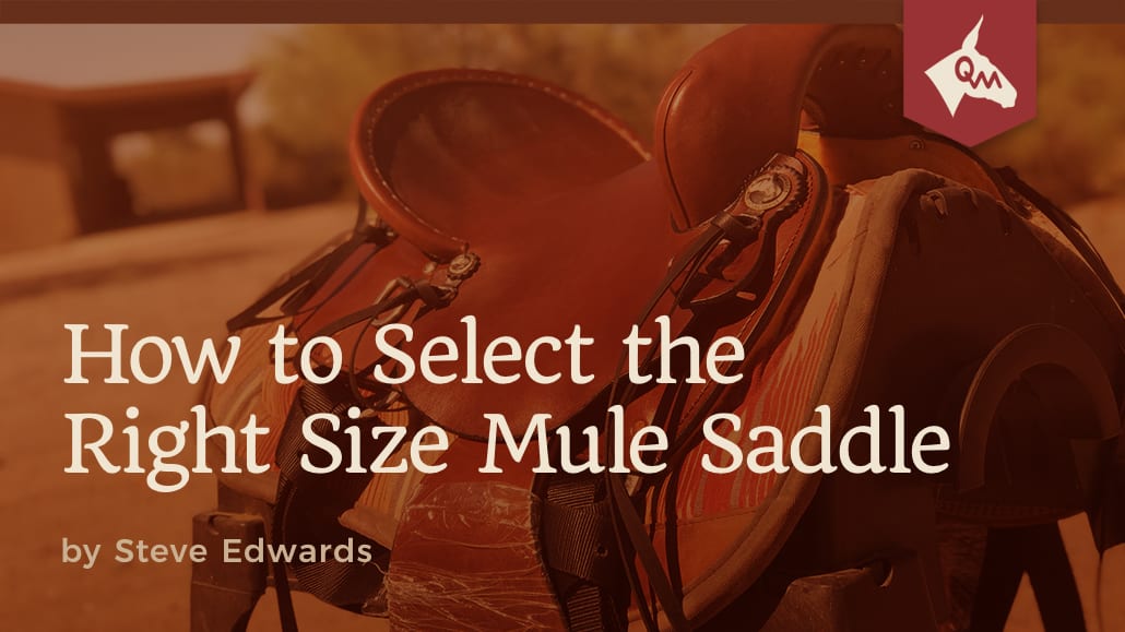 How to Select the Right Size Mule Saddle - Queen Valley Mule Ranch