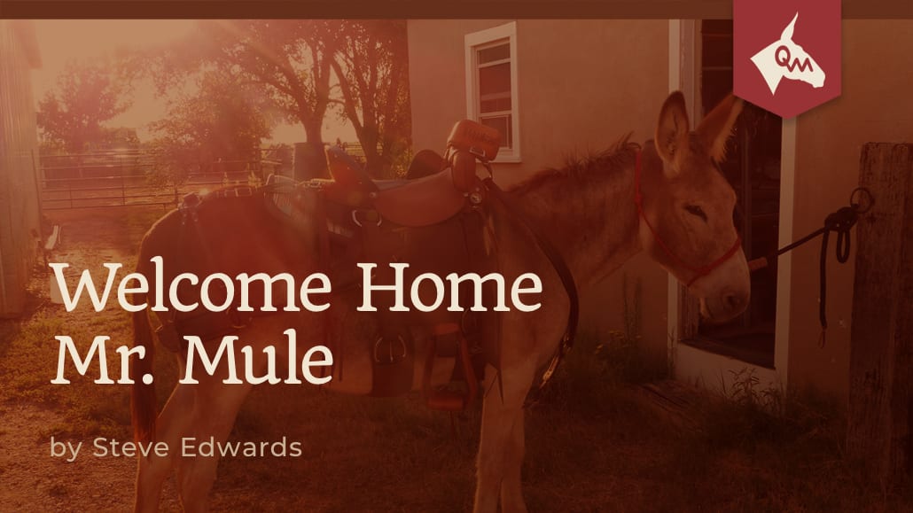 Welcome Home - Make the Most of Your Mule’s Homecoming - Queen Valley ...