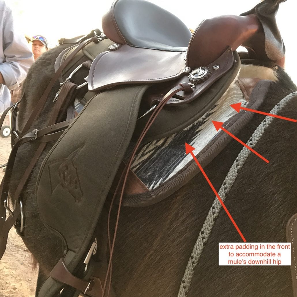 Downhill Hip Mule Saddle Pad | Guaranteed to Fit Your Mule