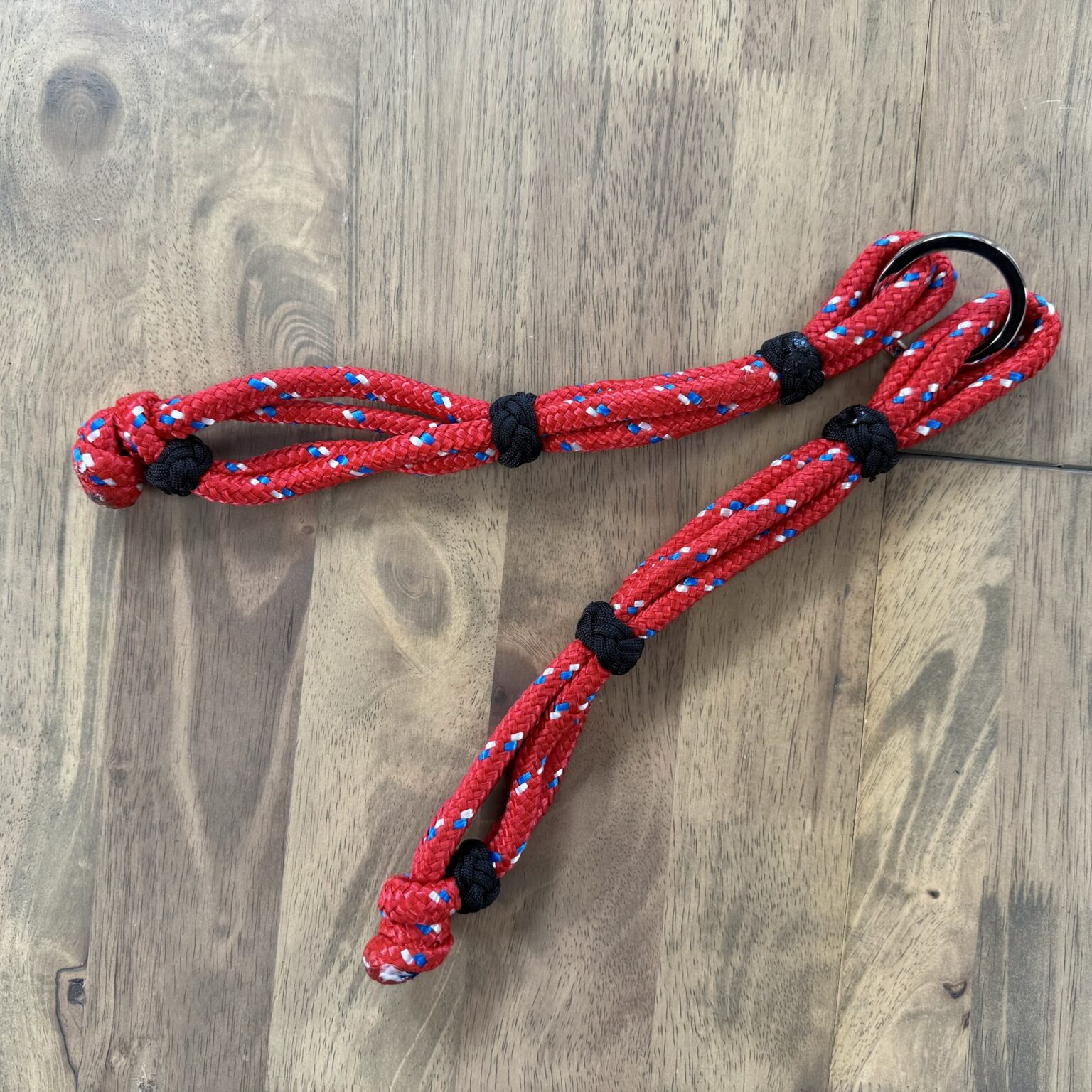 Britchen - Queen Valley Mule Ranch