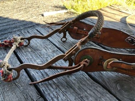 Mule Bits to Use in Your Bit Program | Queen Valley Mule Ranch