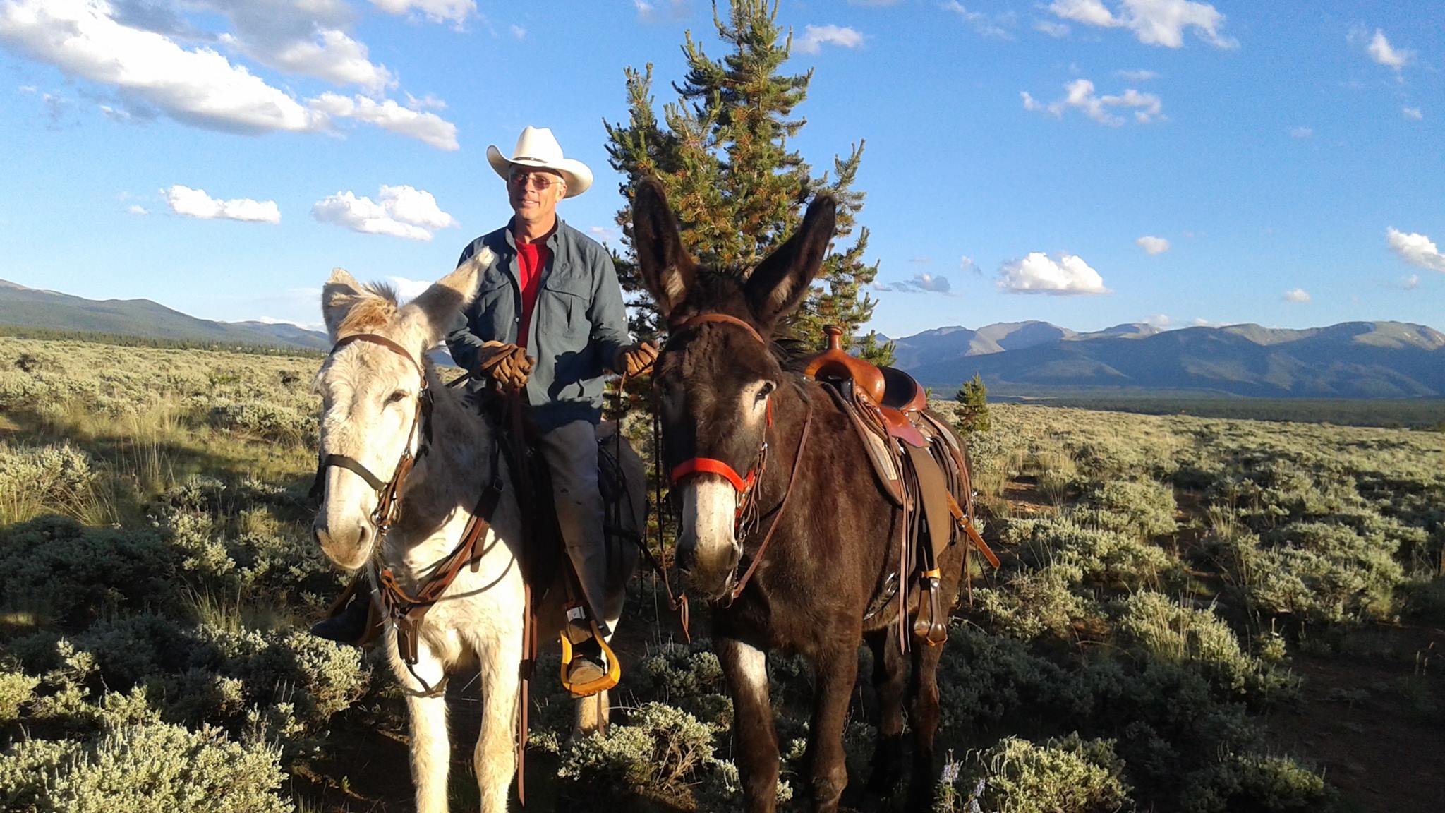 Pictures - Queen Valley Mule Ranch