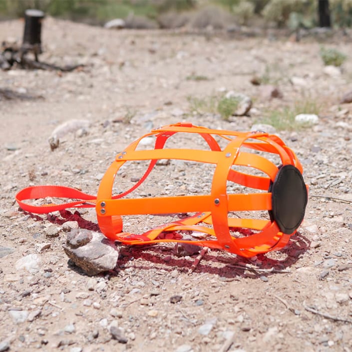 Grazing Muzzle for Mules and Donkeys | Queen Valley Mule Ranch