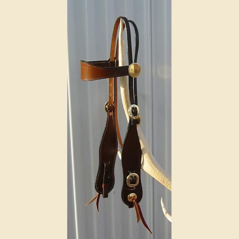 Britchen - Queen Valley Mule Ranch