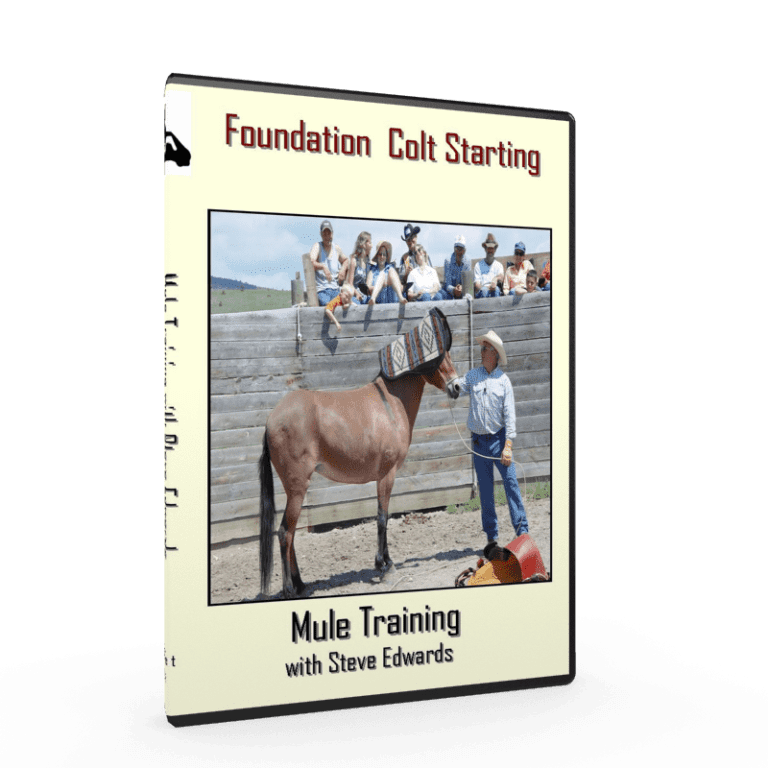 Mule Training Videos - Mule and Donkey Video Training | Steve Edwards
