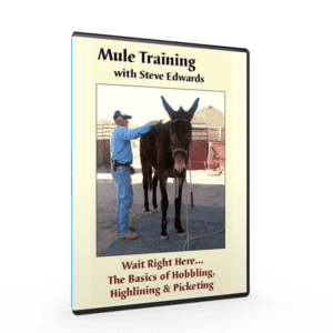 Problem Mule, Building A New Foundation | How to Start A Mule