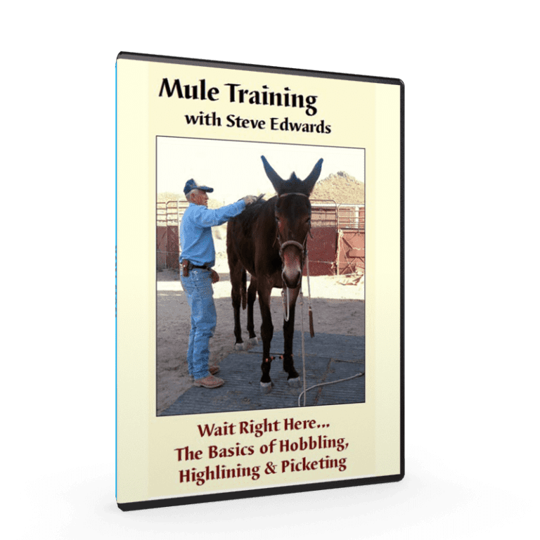 The Basics of Packing Mules Instructional Videos | Steve Edwards