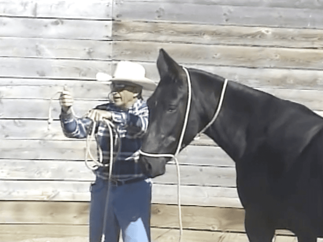 Problem Mule, Building A New Foundation | How to Start A Mule