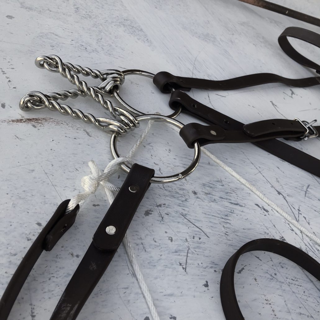 The Mule Rider's Martingale for Balancing Mules & Introducing Bits