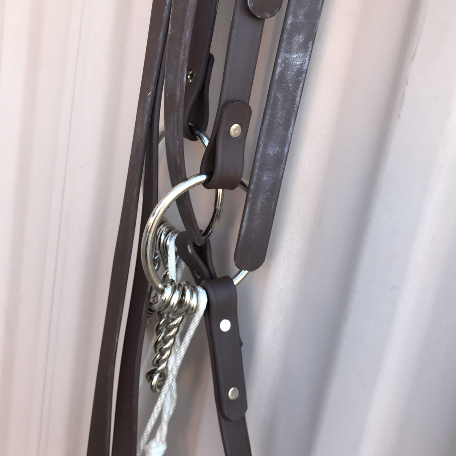 The Mule Rider's Martingale for Balancing Mules & Introducing Bits