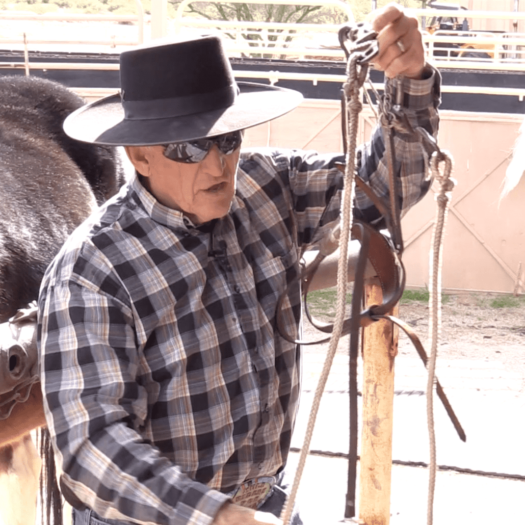The Mule Rider's Martingale for Balancing Mules & Introducing Bits