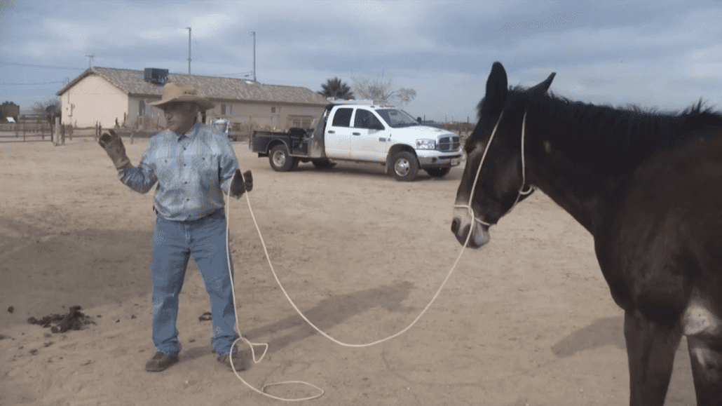Mule Trailer Loading Video from Steve Edwards