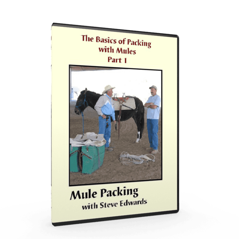 Problem Mule, Building A New Foundation | How to Start A Mule