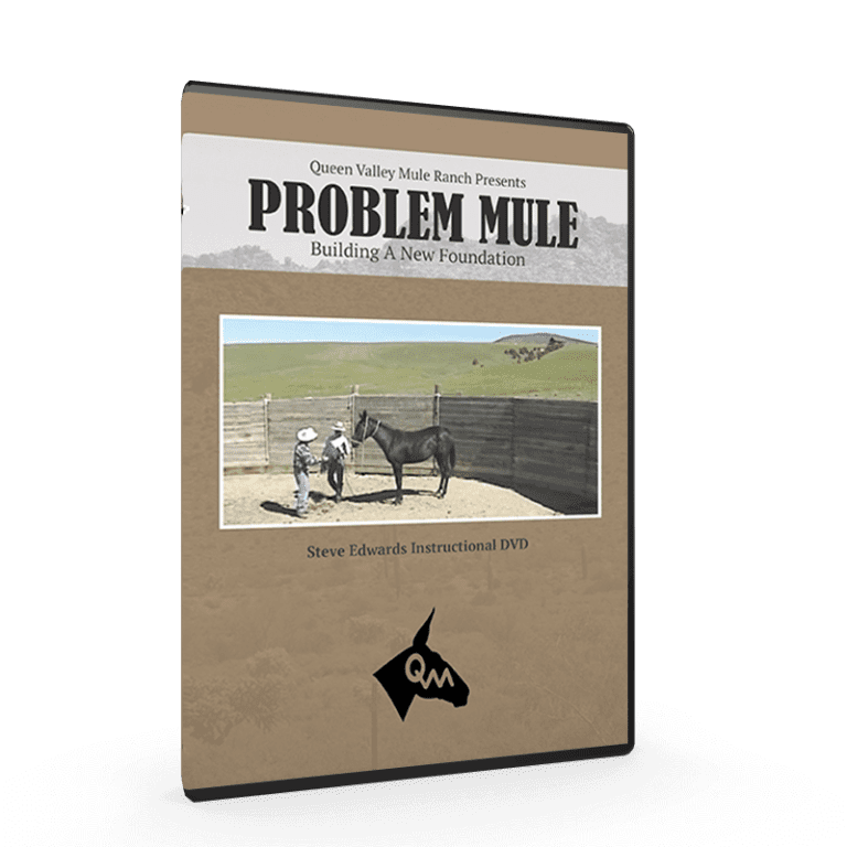 Mule Training Videos - Mule and Donkey Video Training | Steve Edwards