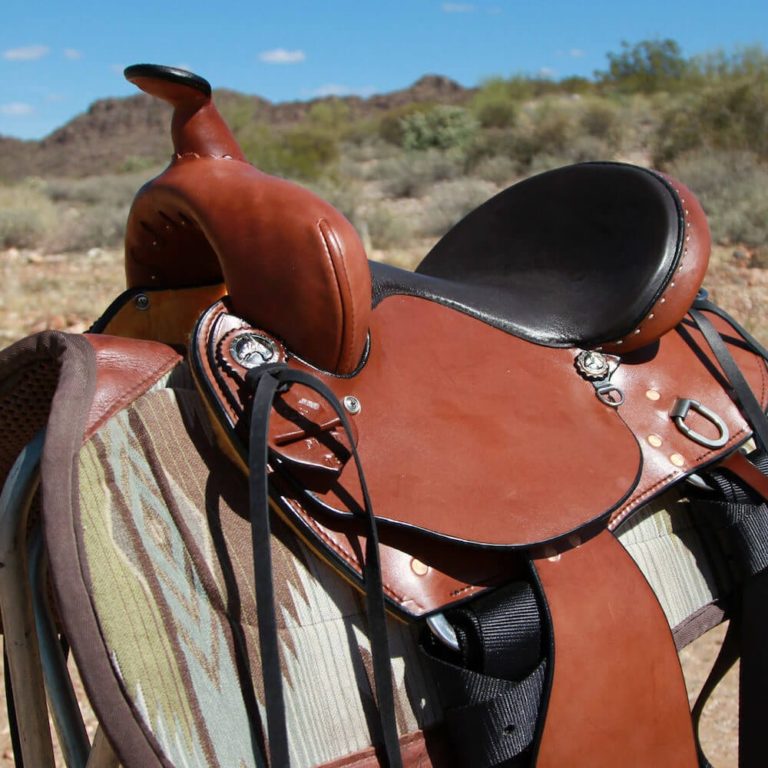 The Trailrider Mule Saddle | Steve Edwards Signature Series Saddle