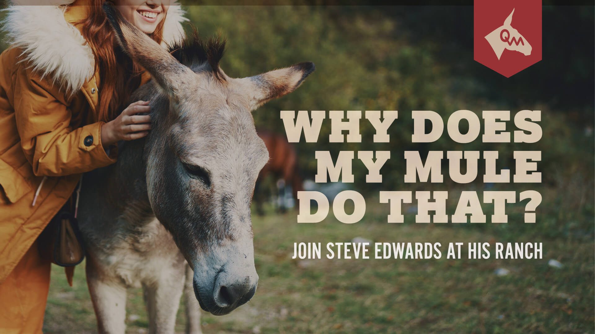 Steve Edwards Clinic | April 2022 at Queen Valley Mule Ranch