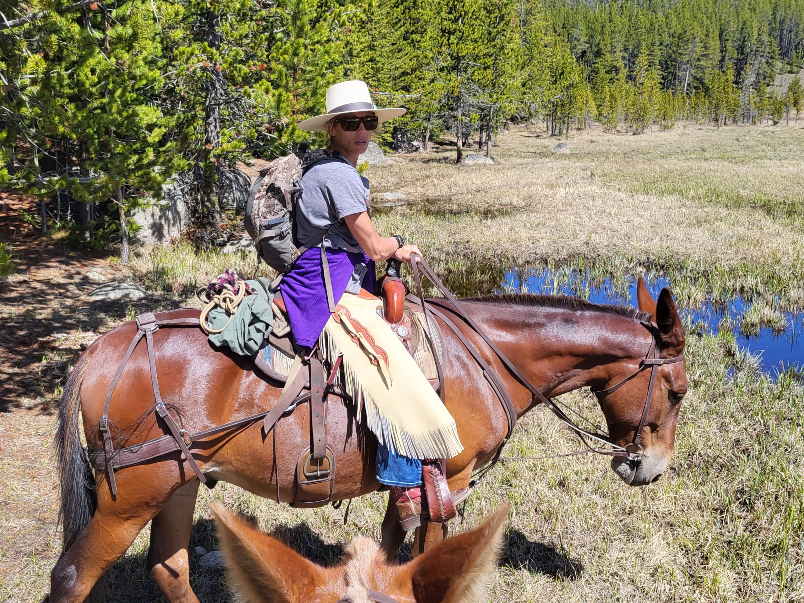 Our Riding This Summer... So Far - Queen Valley Mule Ranch