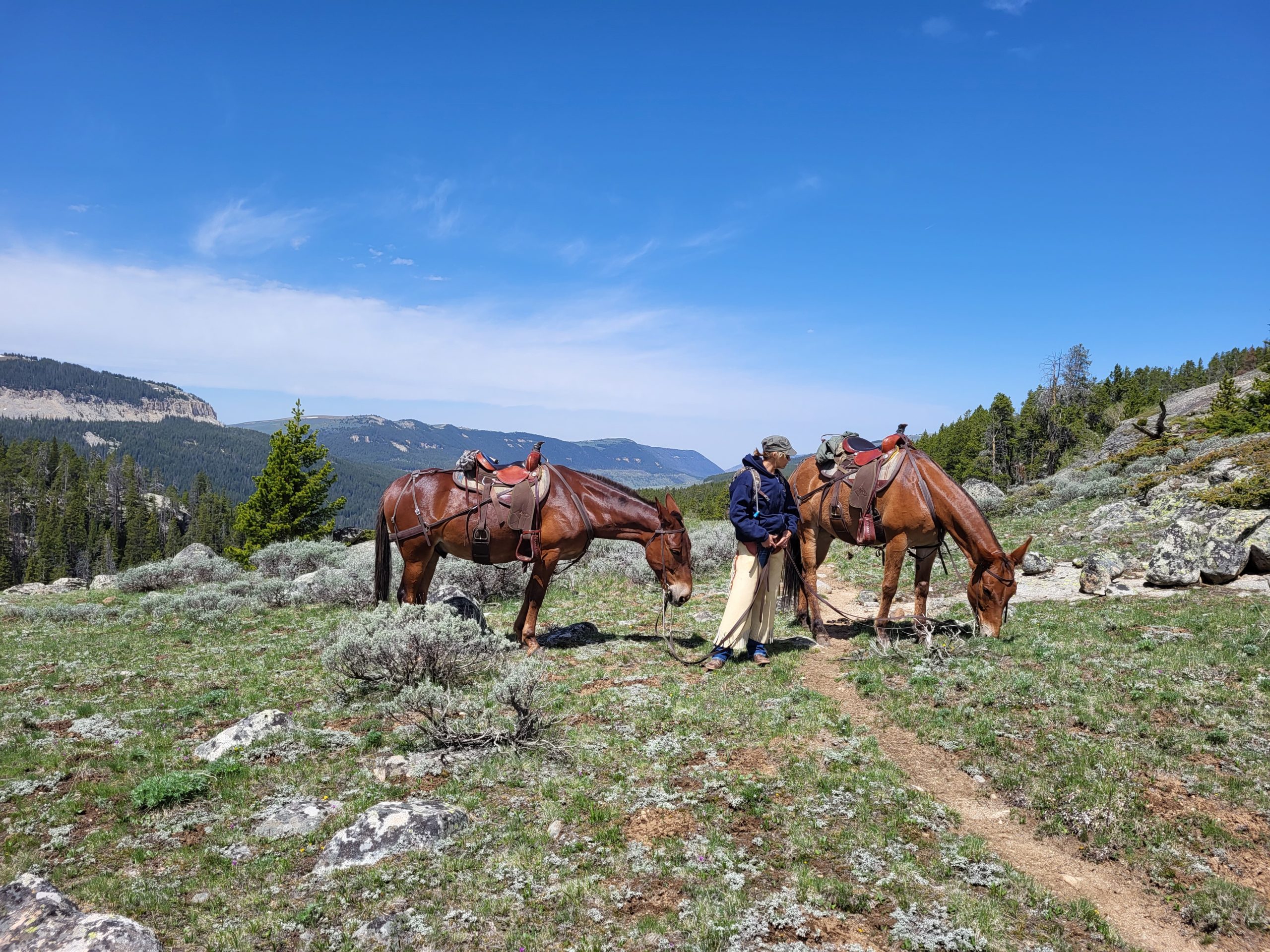 Our Riding This Summer... So Far - Queen Valley Mule Ranch