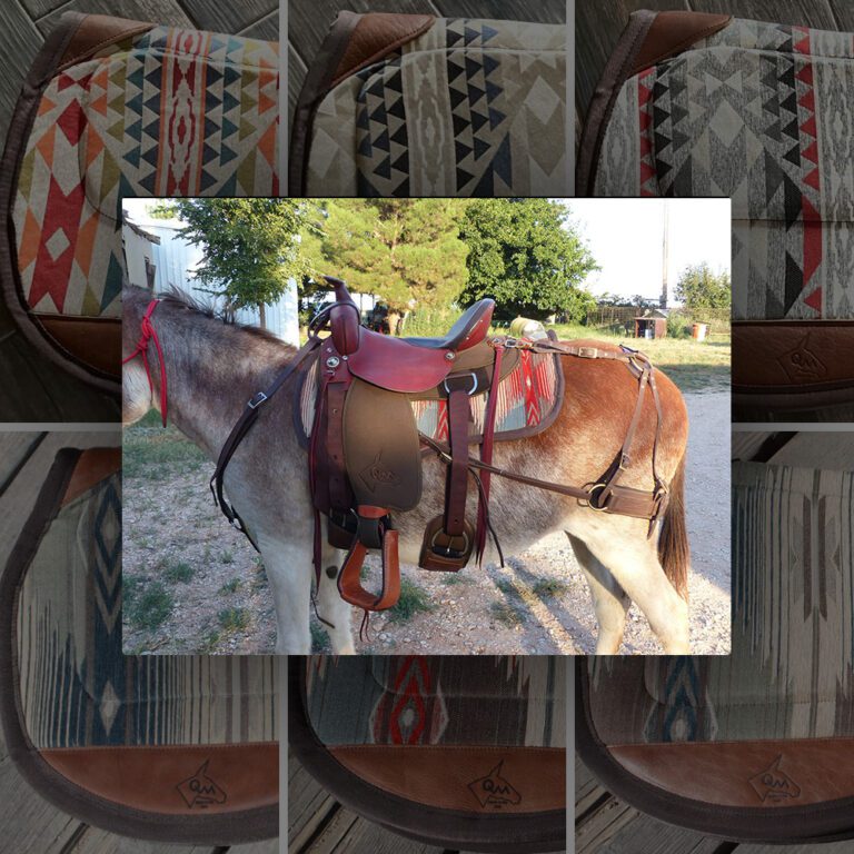 Mule and Donkey Tack, Saddles, and Training from Steve Edwards
