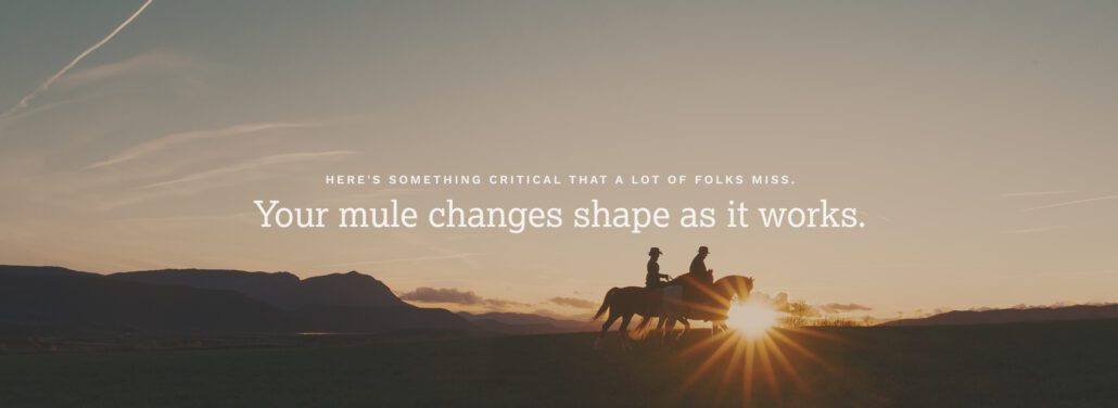 Why Are There White Marks On My Mule's Back? A Complete Guide to Causes ...