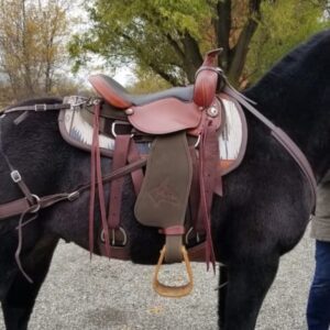 Mule and Donkey Saddles, Tack, and Training from Steve Edwards